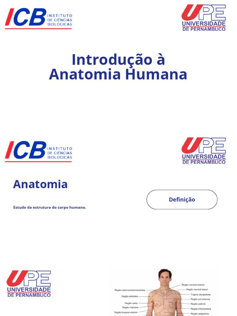 Introdução À Anatomia Humana | PDF