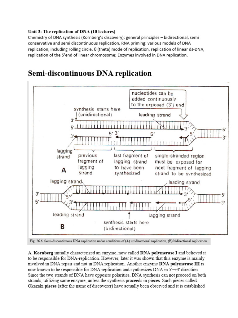 Sem4 Unit-3 Replication | PDF | Dna Replication | Dna