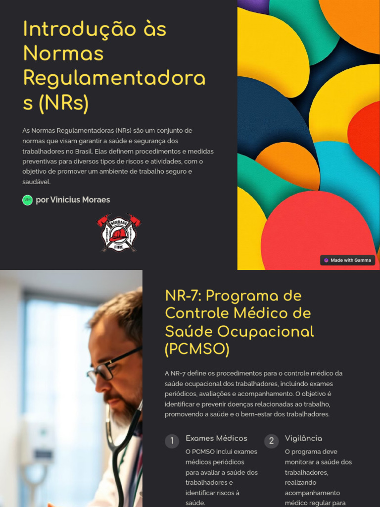 Introducao As Normas Regulamentadoras NRs | PDF