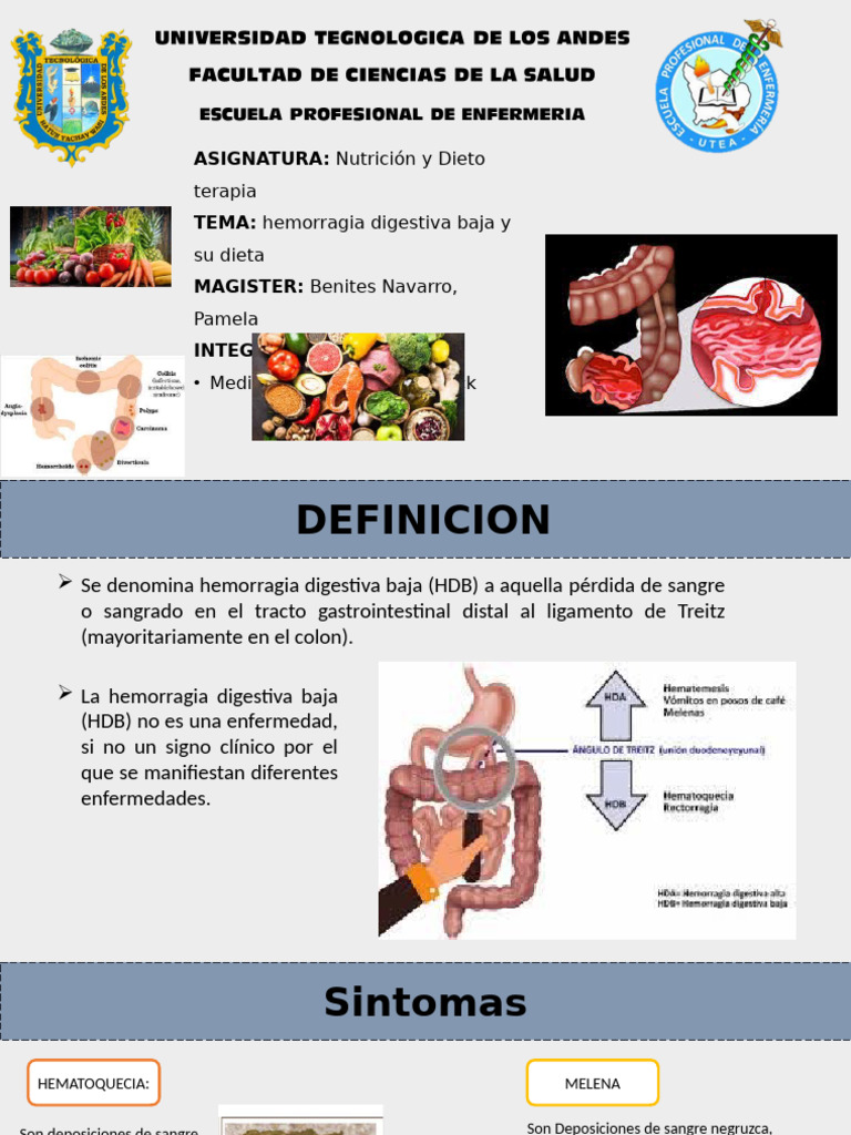 Dieta y Hemorragia Digestiva Baja | PDF | Hemorroides | Heces