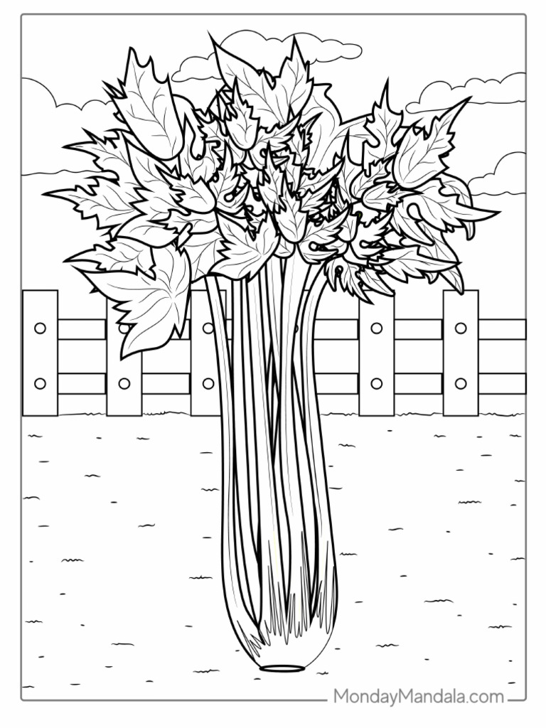 Celery Coloring Page | PDF