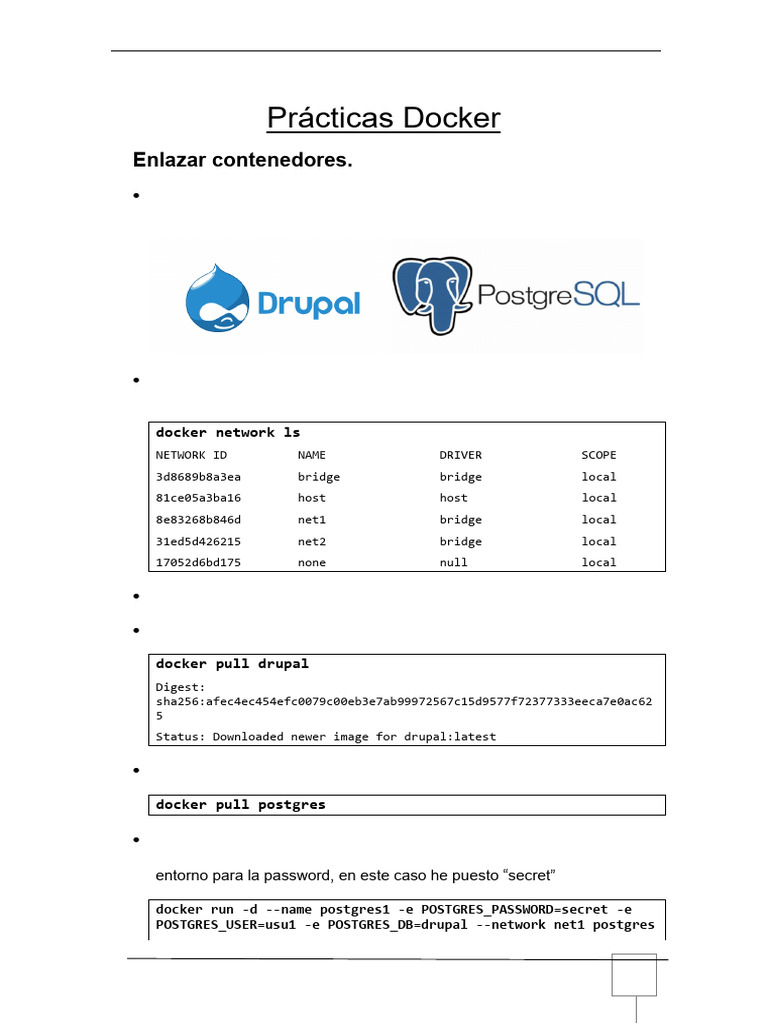 14 - Prácticas-Enlazar Contenedores Con Drupal y Postgres | PDF | Postgre Sql | Gestión de datos