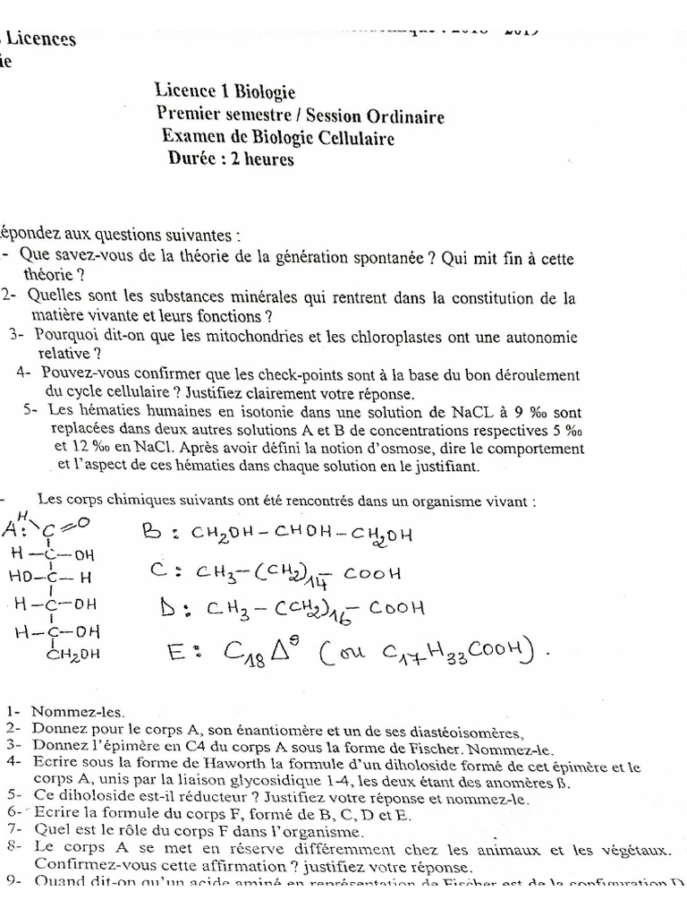 PDFReader_20250213_1938 | PDF