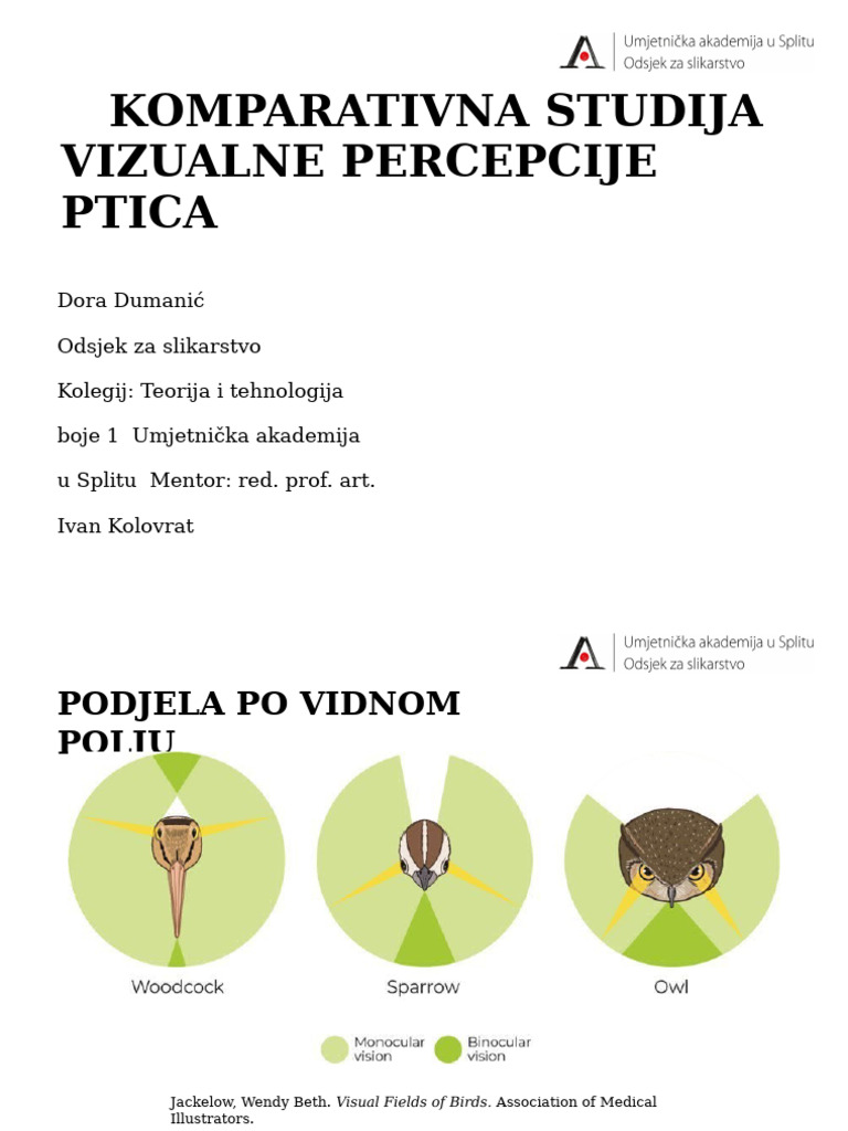 Vizualna Percepcija Ptica | PDF