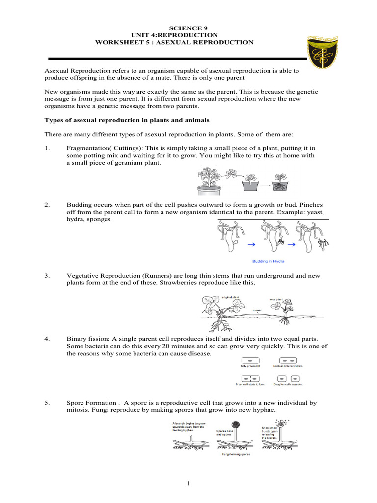 reproduction_worksheet_5_asexual_reproduction | PDF | Reproduction ...