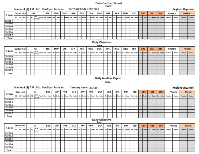 Daily Feedbac Report 2024-1 | PDF