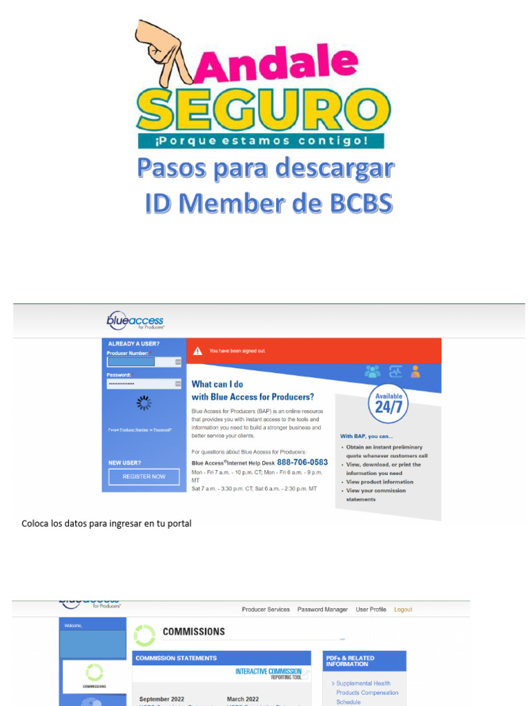 Pasos para Member ID de BCBS | PDF