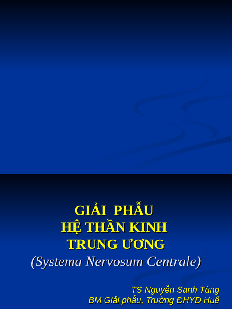 [123doc] Giai Phau He Than Kinh Trung Uong Pot | PDF