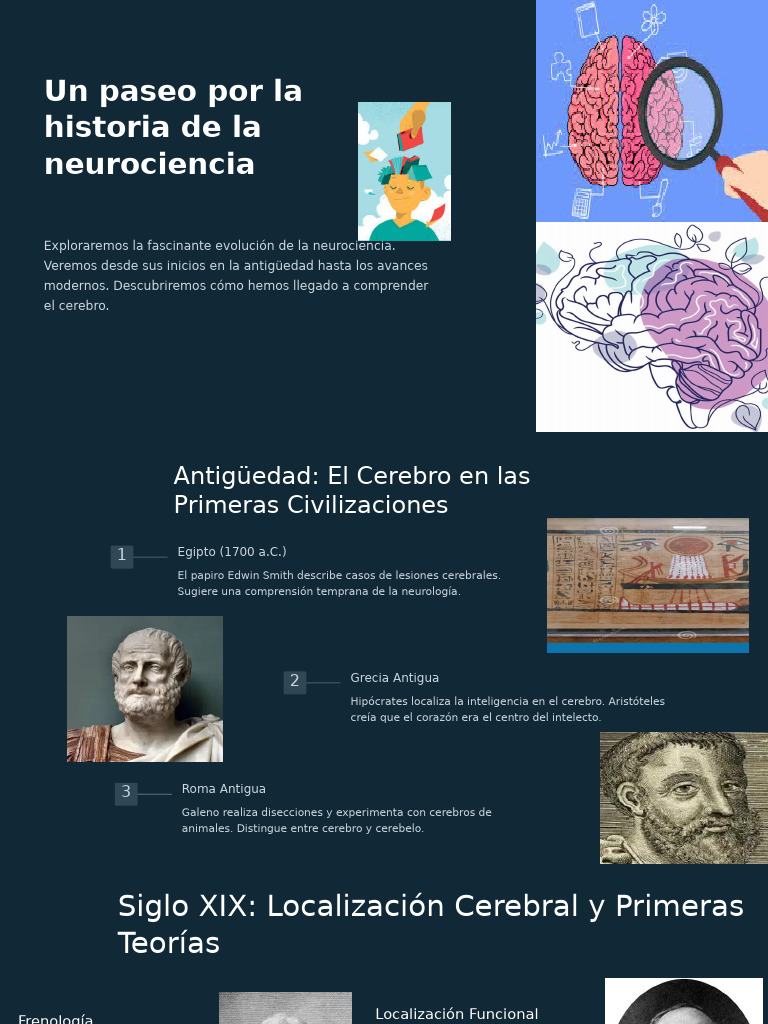 Historia de La Neurociencia Una Linea Del Tiempolll | PDF | Cerebro | Neuroimagen