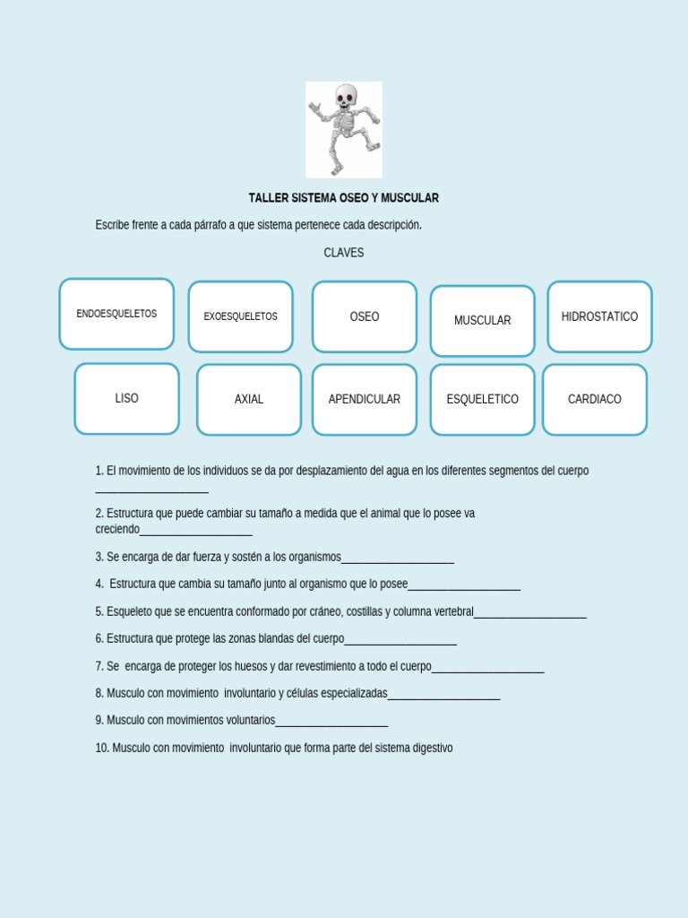Tallr Sistema Oseo y Muscular | PDF