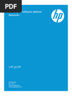 01 - Alteon ADC Level 1 Lab Manual - Initial Setup | PDF | Command Line Interface | Secure Shell