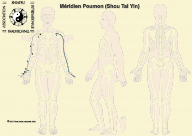 Méridien Poumon | PDF