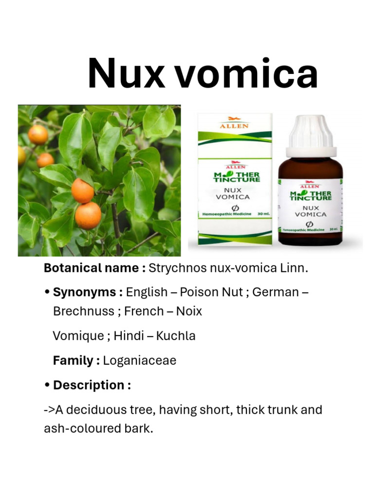 Nux Vomica: Uses, Preparation, and Benefits | PDF