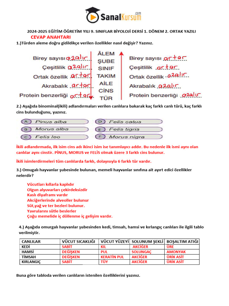 9.sinif Biyoloji 1. Donem 2. Yazili Ornek Sorulari Ca | PDF