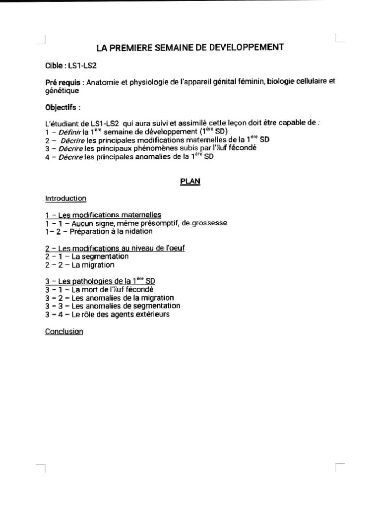 1SD 2SD 2024 2025 | PDF