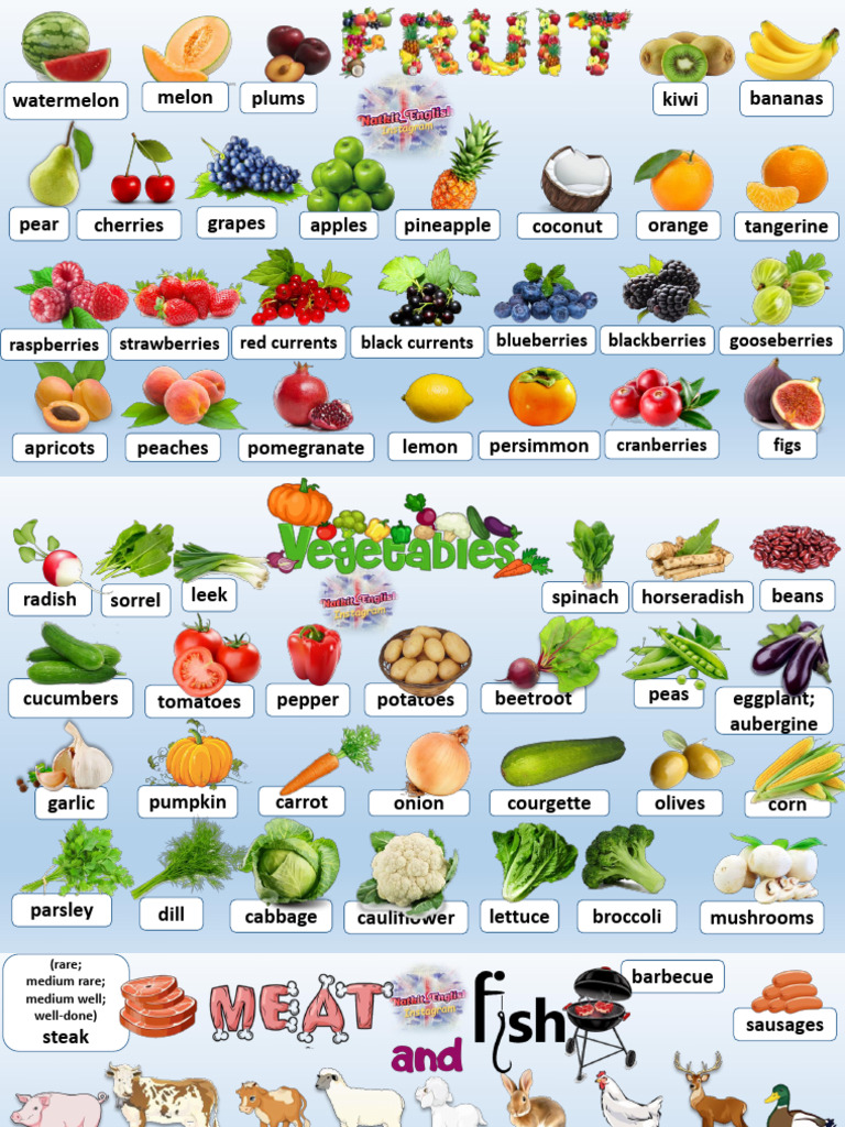 Visual Dictionary Food Picture Dictionaries | PDF | Kitchen Utensil ...