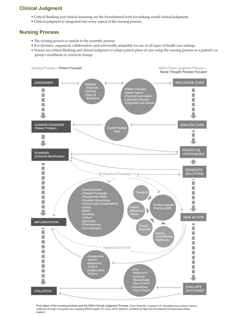 Clinical Judgement and The Nursing Process 2 | PDF
