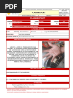 Formato FLASH Report | PDF
