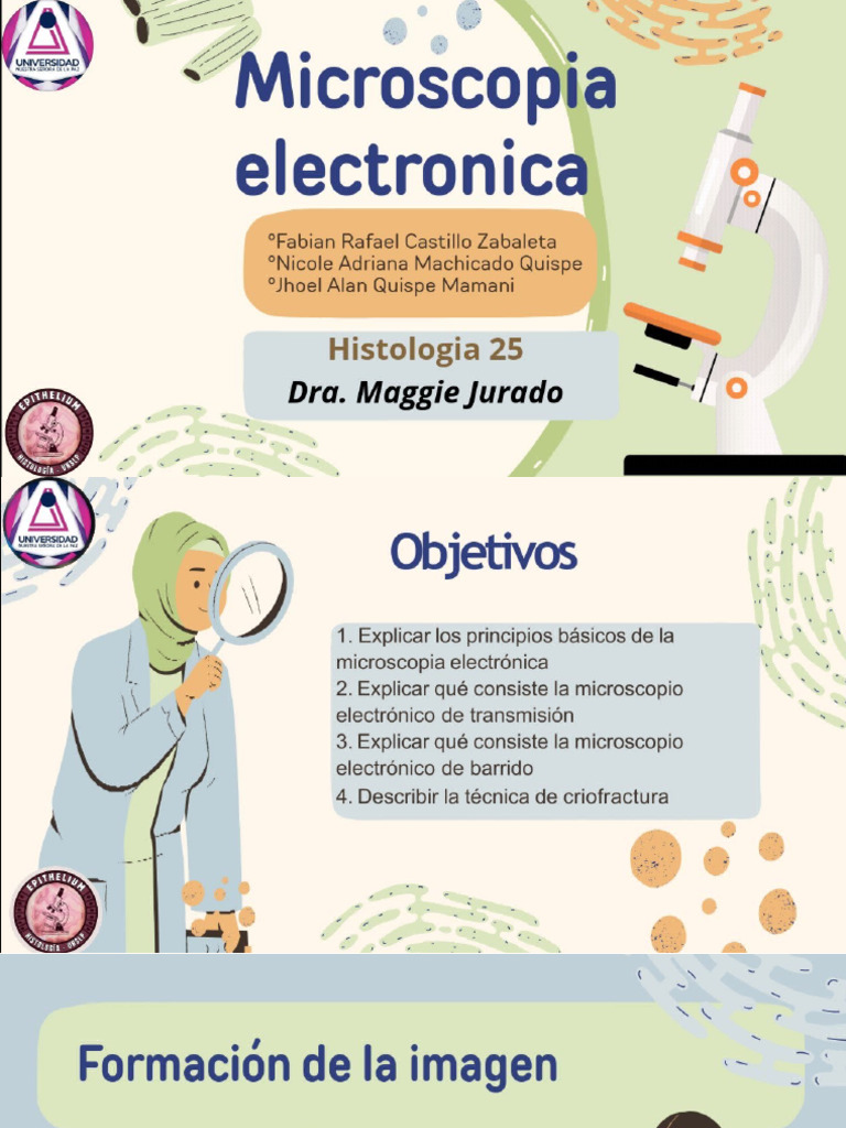 Microscopio Electrónico de Barrido (MEB) | PDF | Microscópio ...