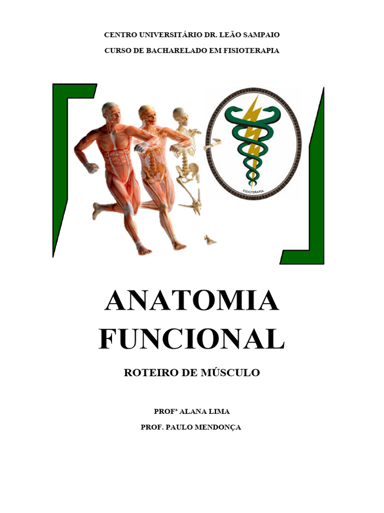 Roteiro de Anatomia Funcional | PDF | Rosto | Cotovelo