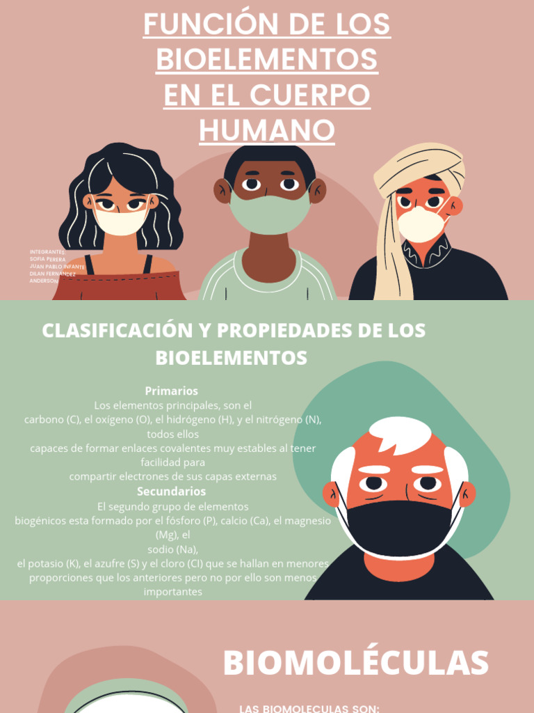 Función de los Bioelementos en Humanos | PDF | Moléculas | Biomoléculas