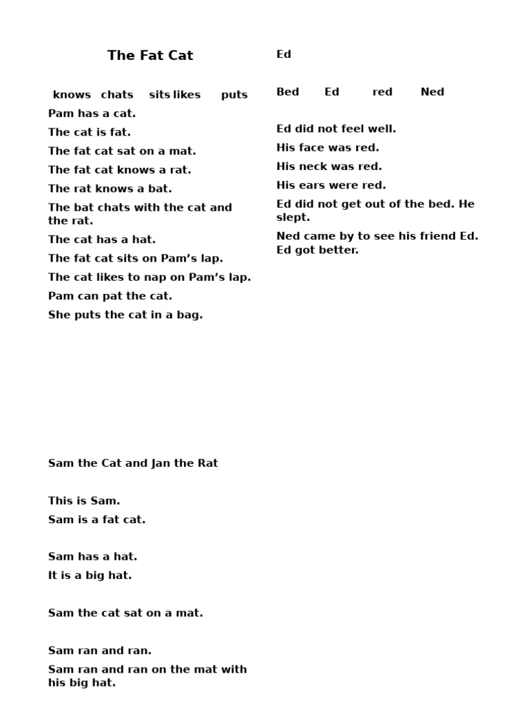 Sam the Fat Cat's Adventures | PDF
