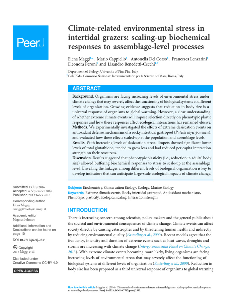 Scientific Paper Assignment - Scientific Investigation | PDF | Reactive ...