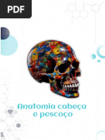 Forames Do Crânio | PDF | Neuroanatomia | Anatomia humana