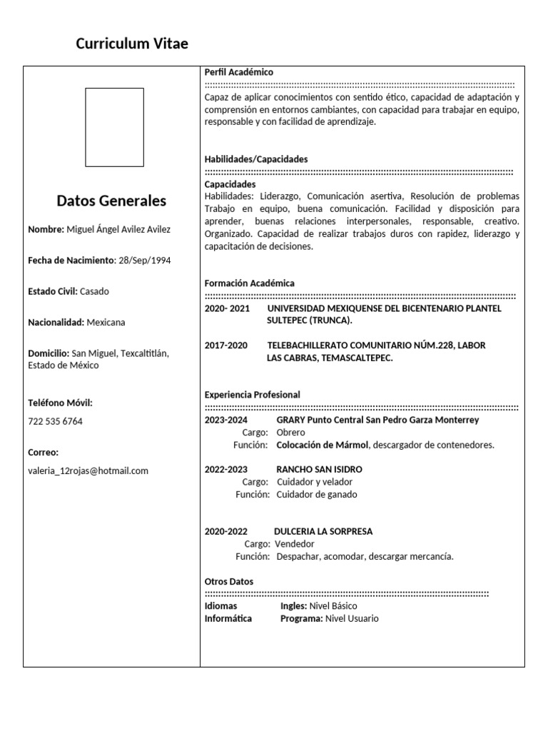 Curriculum Vitae de Miguel Avilez | PDF | Plan de estudios ...