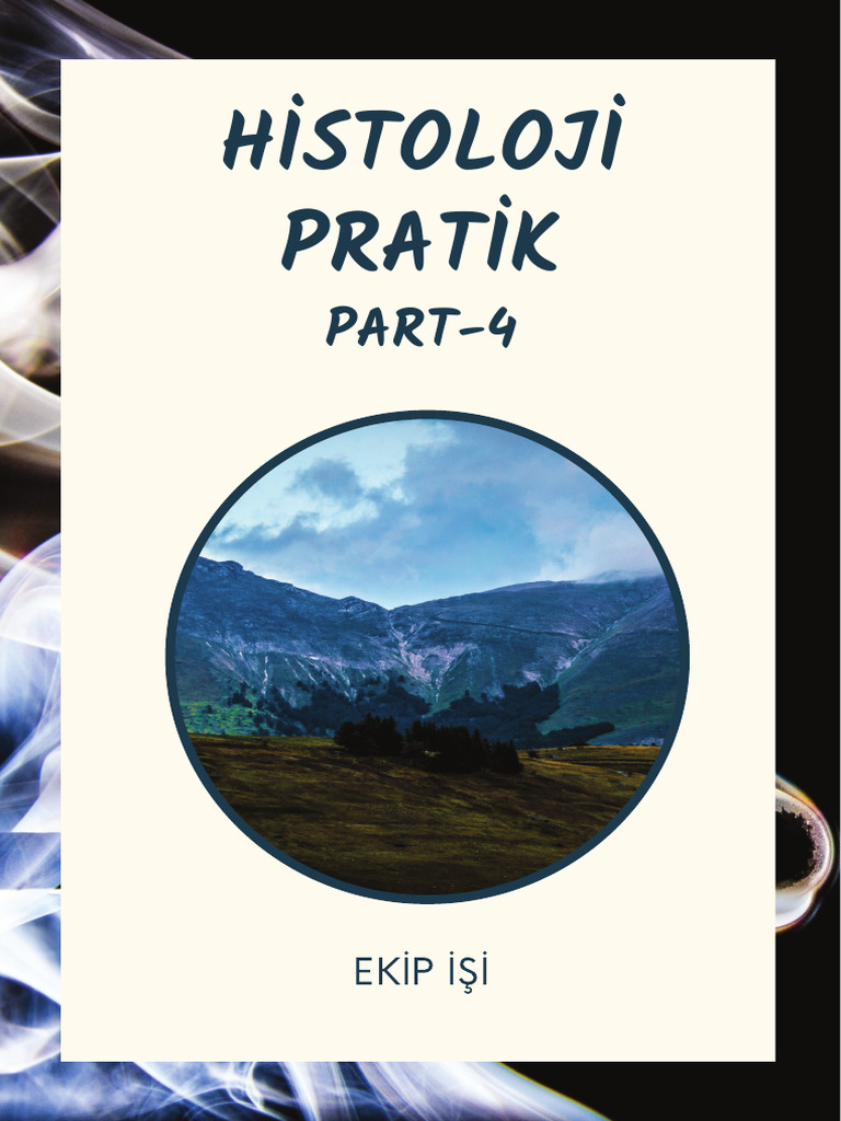 Histoloji - Part4 | PDF
