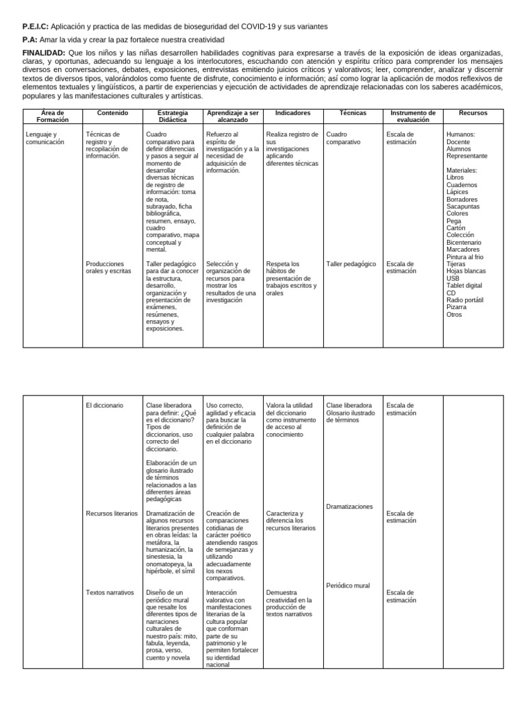 P.A. Plan Tematico | PDF | Aprendizaje | Diccionario