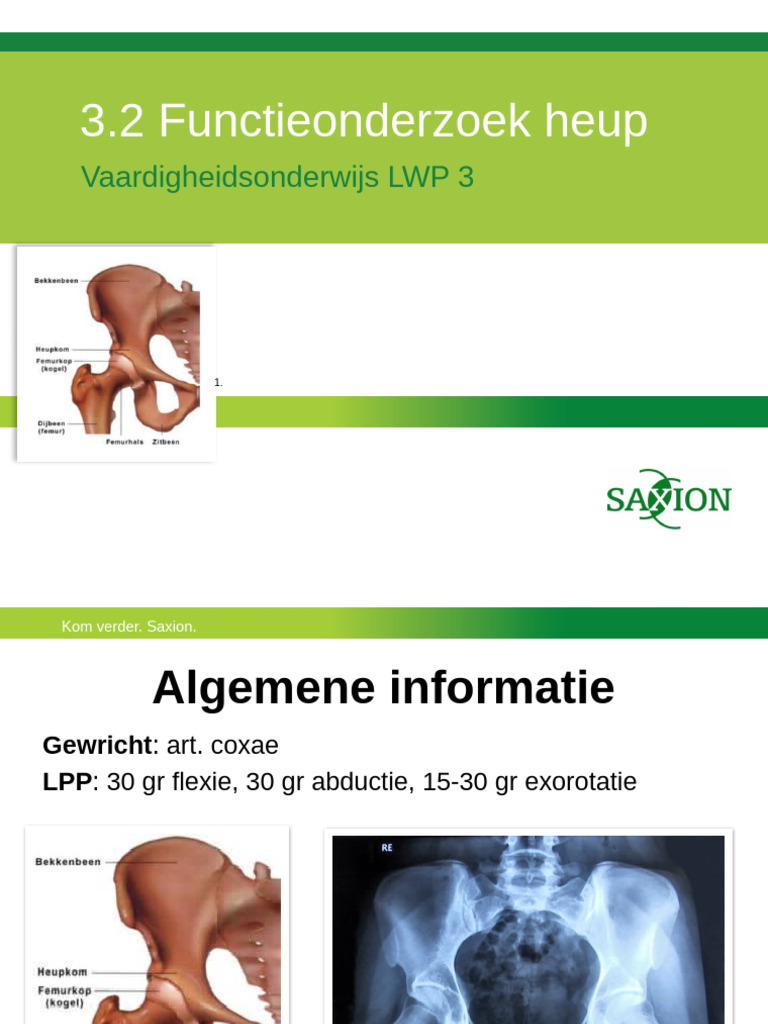 3.2 Functieonderzoek Heup | PDF