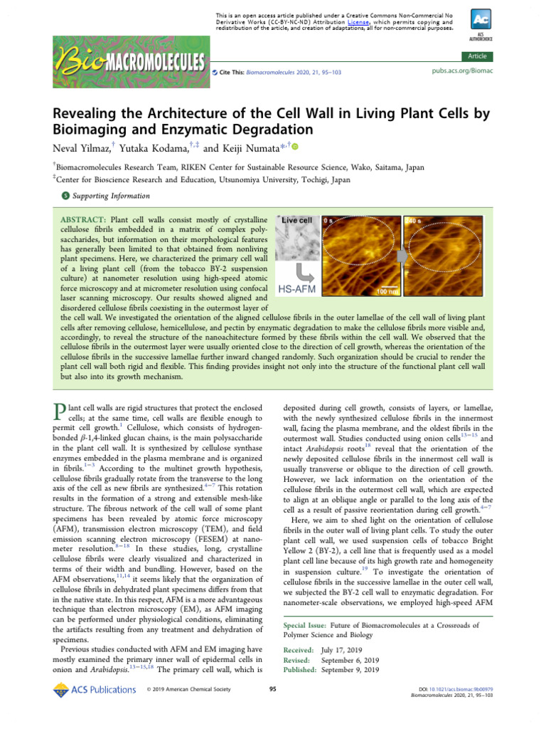 Yilmaz Et Al 2019 Revealing The Architecture of The Cell Wall in Living ...