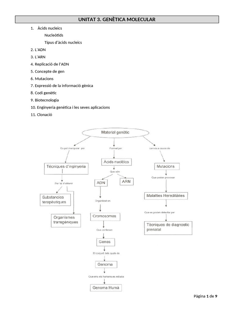 Dossier Unitat 2 | PDF