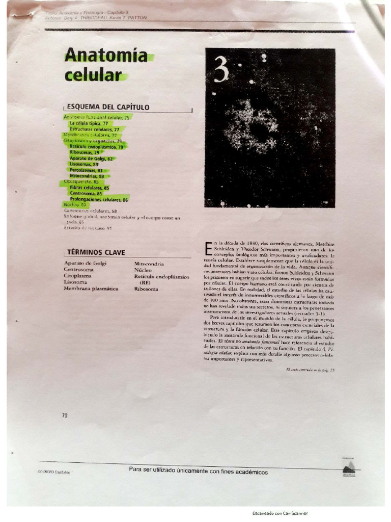 Anatomía Celular - Capitulo 3 - Thibodeau Patton | PDF