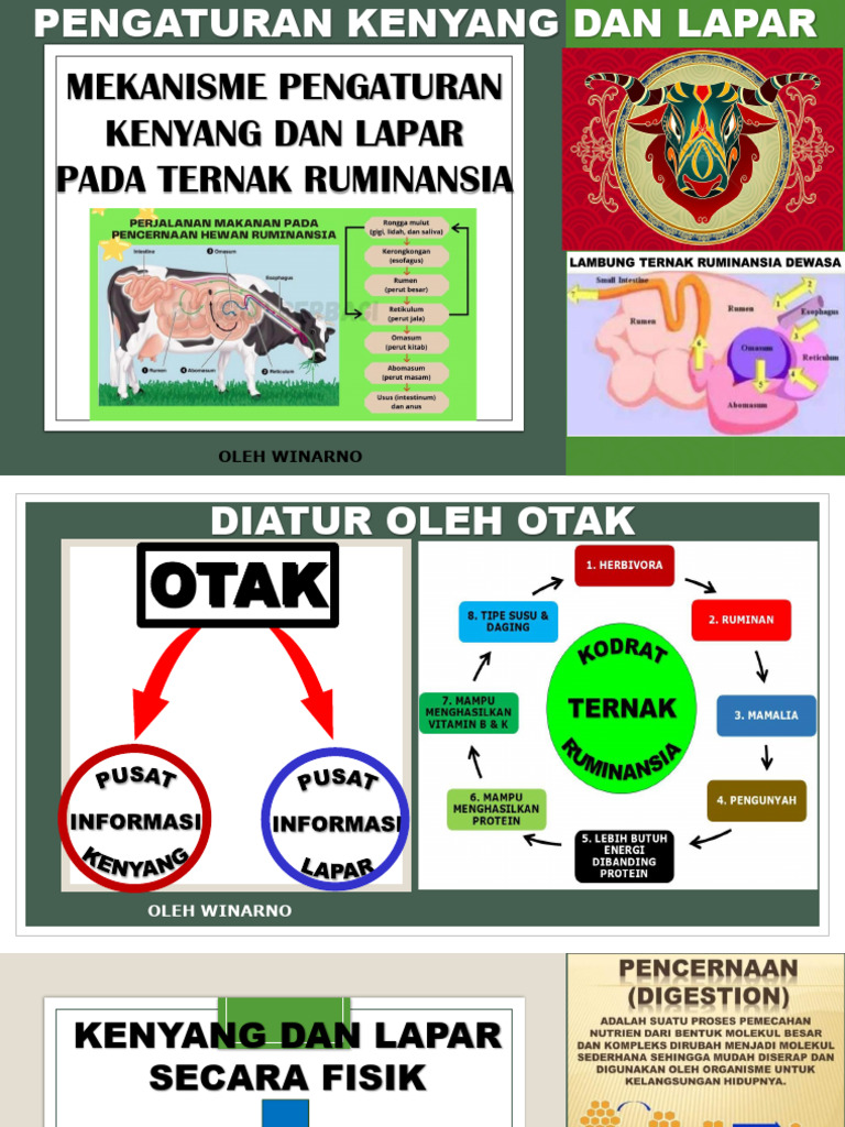 Mekanisme Kenyang dan Lapar Ruminansia | PDF
