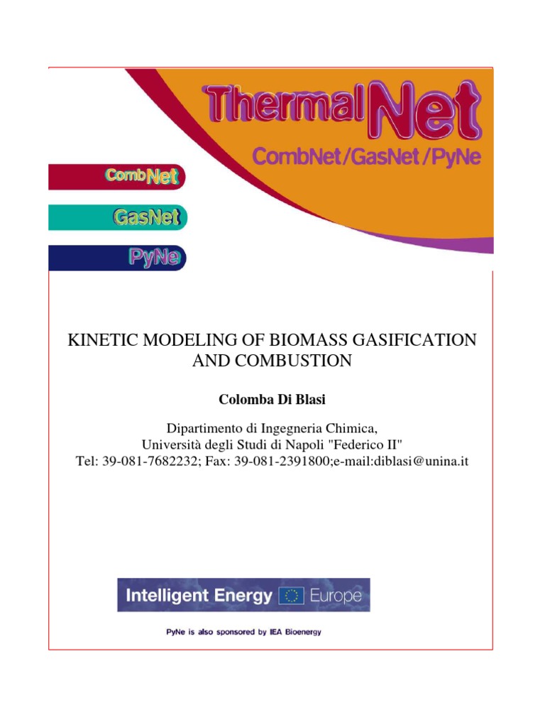 2F-1 Kinetic Modelling of Biomass Gasification and Combustion | PDF | Gasification | Combustion