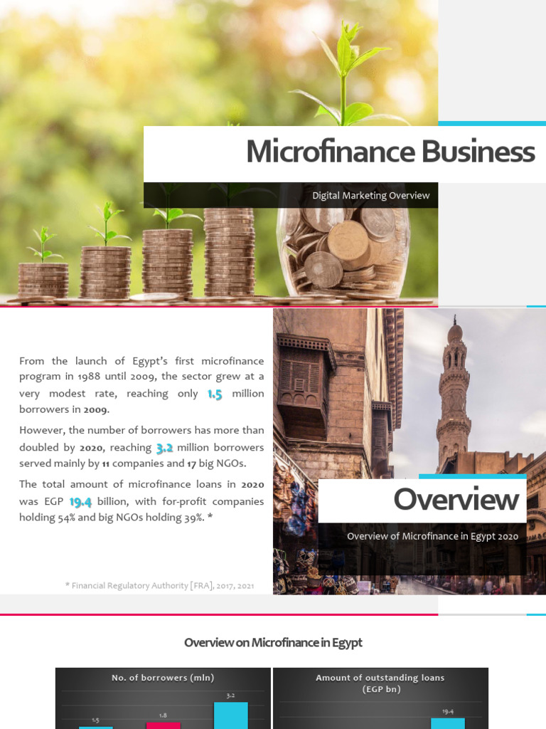 Microfinance Business | PDF | Microfinance | Service Industries