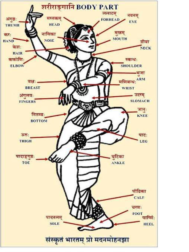 Different Body Parts in Sanskrit | PDF
