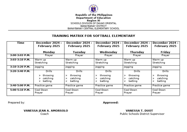 SOFTBALL MATRIX | PDF