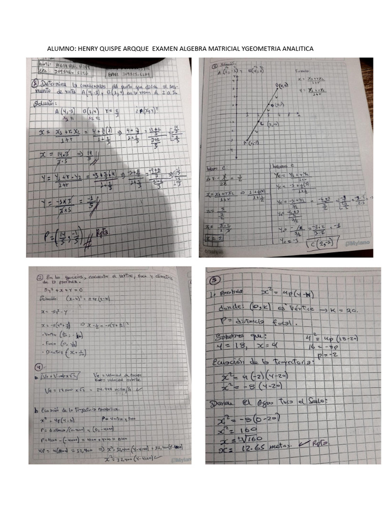 Henry Quispe Arqque | PDF