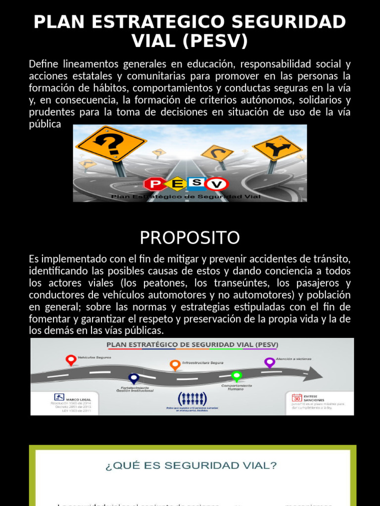 Seguridad Vial (Pesv) | PDF | Seguridad vial | Peatonal