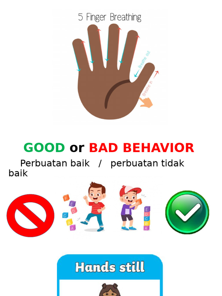 YES or NO Good Bad Behaviour | PDF