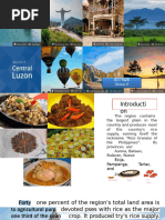 Traditional Delicacies of South Cotabato | PDF
