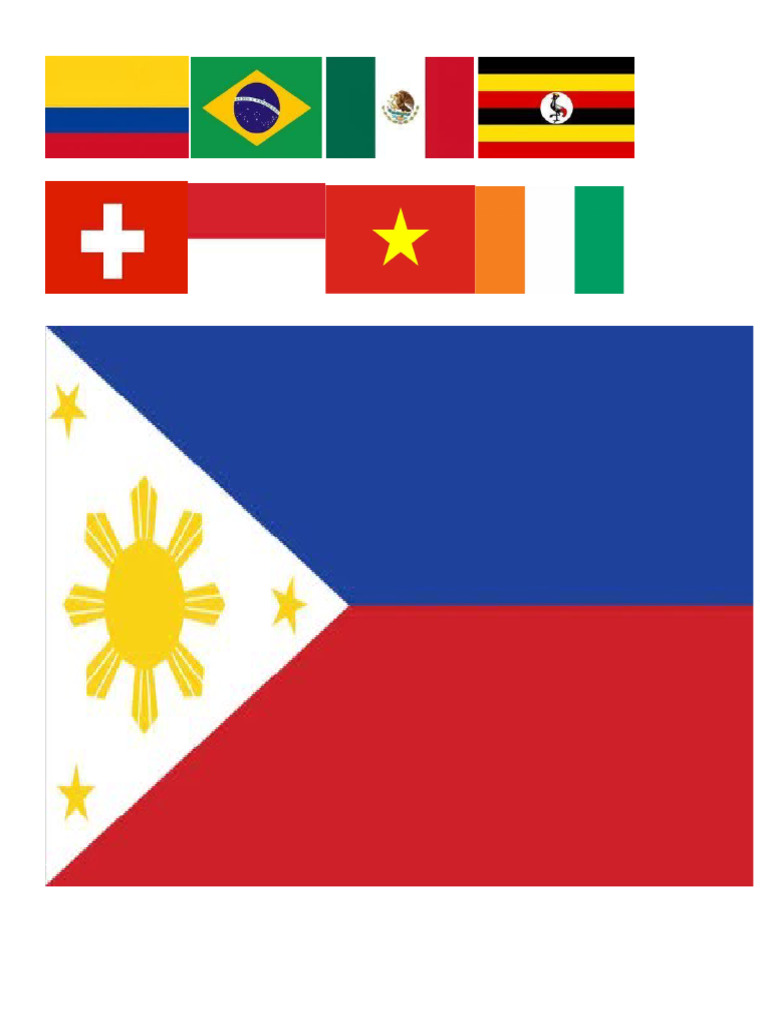 FLAGS | PDF