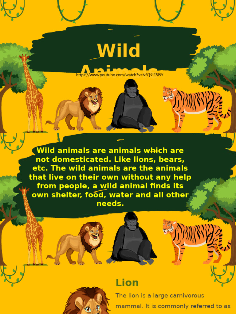 Wild Animals Assembly 24 March 2025 | PDF | Hippopotamus | Elephant