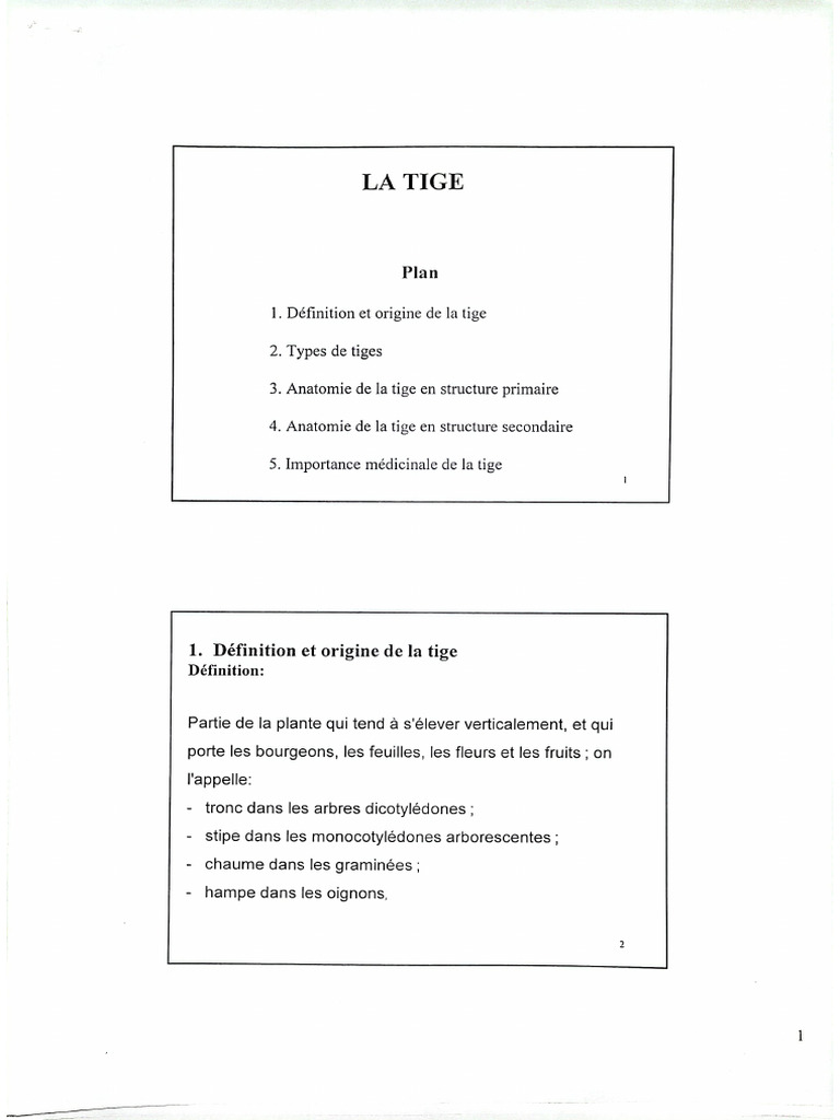 2 Tige | PDF