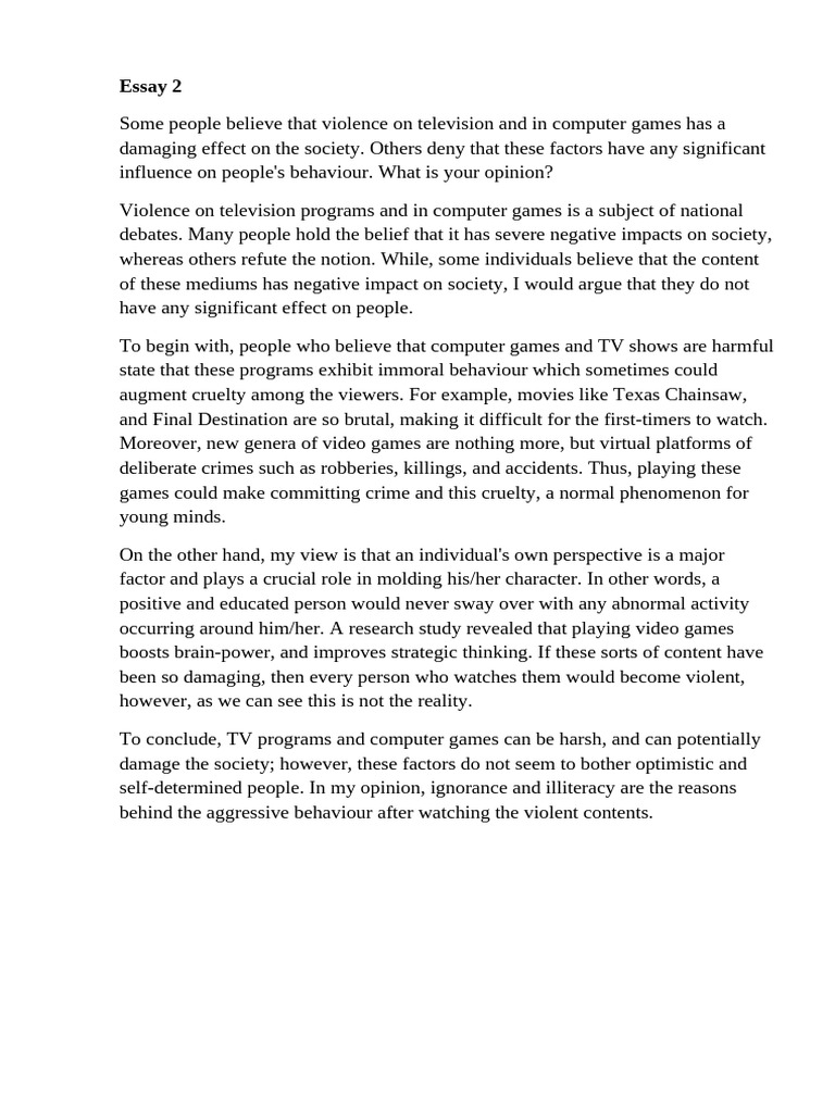 Opinion Essay | PDF