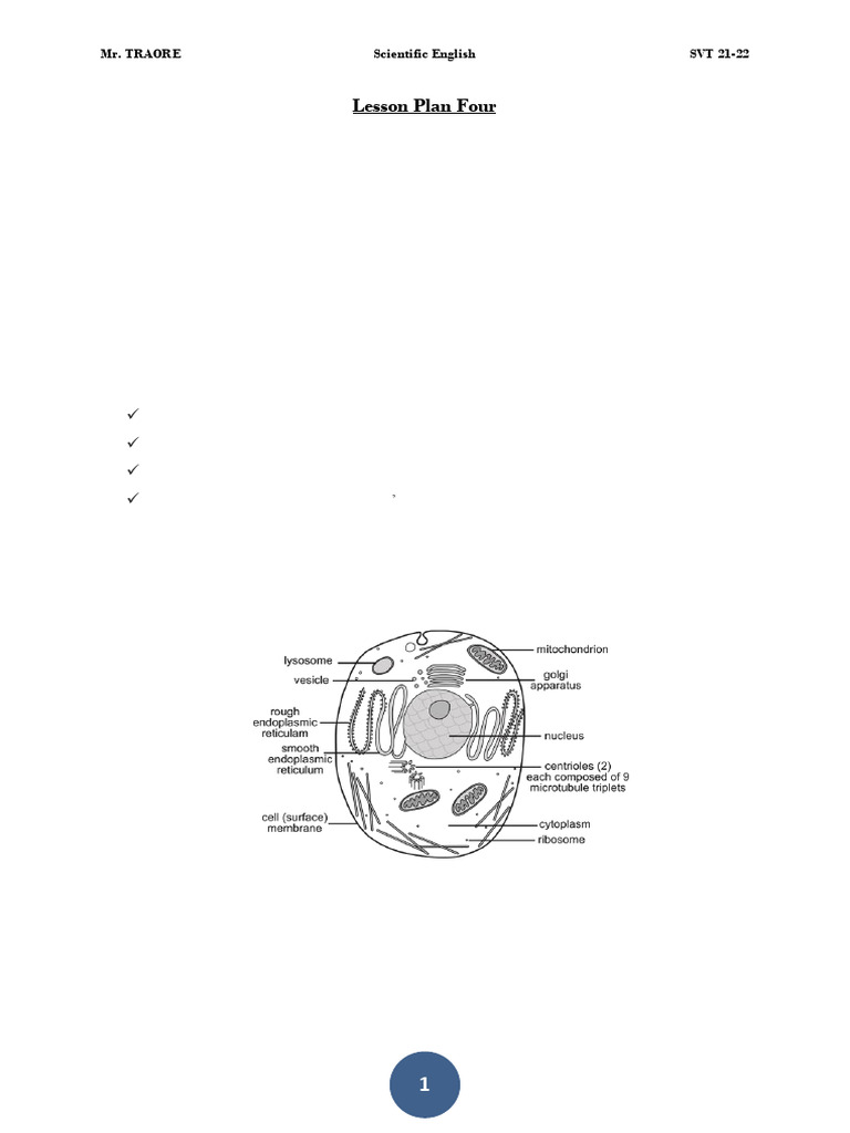Plant Cell Biology Lesson Plan | PDF | Endoplasmic Reticulum | Cell ...