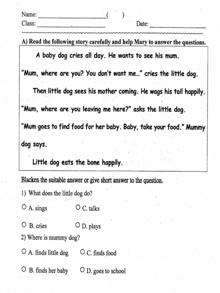 Comprehension & Writing P1 ENG200411 | PDF